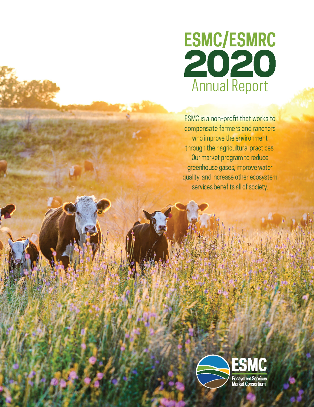 ESMC/ESMRC 2020 Annual Report – ESMC